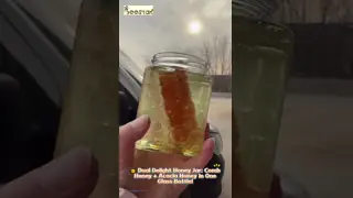 Pure White Acacia Honey Natural Raw Sweetness
