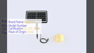 Ultra Bright Solar LED Light Waterproof Outdoor