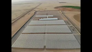 China A continuous-span polyethylene film greenhouse used to increase vegetable yields and accelerate the maturation process of vegetables for sale