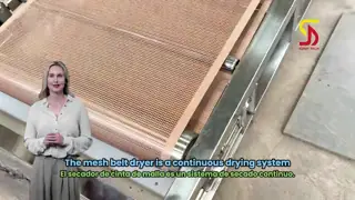 China Automatic Energy Saving Multifunctional Mesh Belt Dryer Continuous Mesh Belt Drying Machine for sale