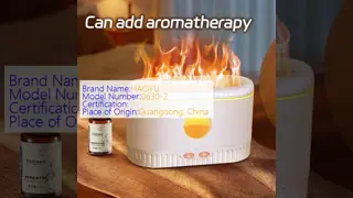 China USB Portable Waterless Aromatherapy Diffuser Machine 200mL With LED Flame Light for sale