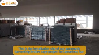 Automatic Harvesting Broiler Cage Installation In Camarines Sur