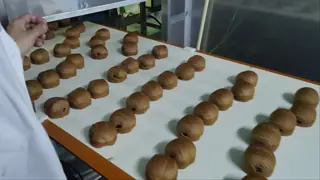 0.01g Resolution Metal Detector For Food Processing Protects Your Products From Metal Contamination