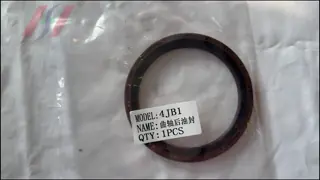 Isuzu 4JB1 Crankshaft Seal Oil Leak Repair