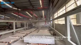 Multi-station Long-stroke Automatic Board Separating & Palletizing Machine