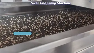 Cashew nuts chopping machine