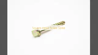 Square Head Screw Spike Secure Fastening
