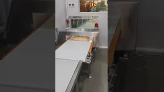 Stainless Steel Interceptor Industrial Metal Detector Conveyor Belt 220 Voltage