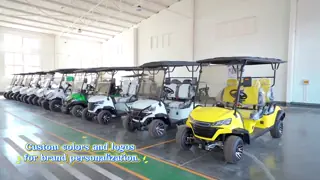 Inside Florescence Golf Cart Factory-S3