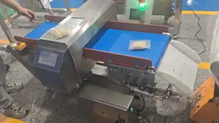 Food Metal Detector