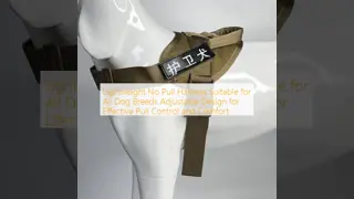 No Pull Dog Harness Easy Control