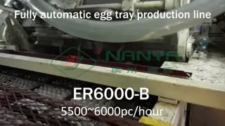 Fully Automatic Egg Tray Making machine/ Mass production Egg tray/ Carton Making amchine