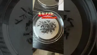 Does cutting fluid have anti-rust properties? How to test it?