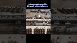 Automatic Egg Tray Machine 3000pcs/h Recycled Paper