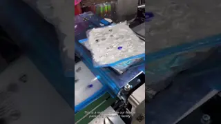 Factory Workshop Overview Flexible Packaging Production in Action