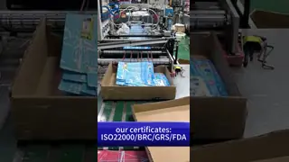 Laundry Pods Packaging Bag: B2B Wholesale Leak-Proof Resealable Child Resistant Pouch