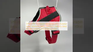 Ergonomic Pet Harness Safe Comfy Walks