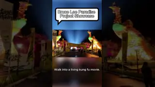 Bruce Lee Paradise Project Showcase