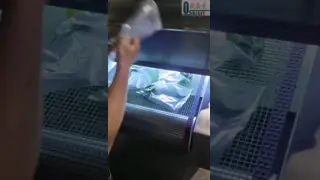 China W300mm Light wave UV Irradiation Machine / UV Curing Machine 10m/min for sale