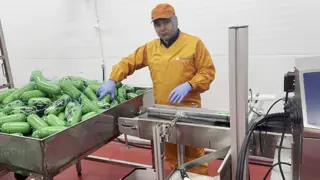 Food X Ray Machine