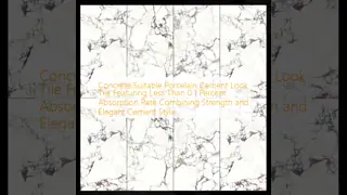 Cement Look Porcelain Tile Low Absorption