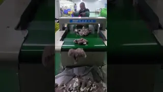 High Sensitivity Broken Needle Metal Detector Digital Touch Screen For Textile Industry