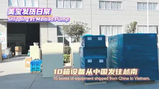 From China to Vietnam: MEIBAO Pumps Delivered with Care