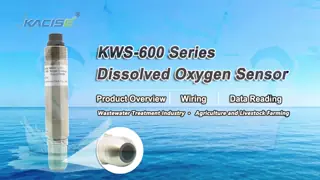 KWS-600 Online Dissolved Oxygen Sensor Overview, Wiring & Data Reading