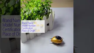 Solar Scarab Toy Educational Fun