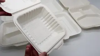 600ml Disposable Eco-Friendly Compostable Food Container Takeaway Packaging for Meals