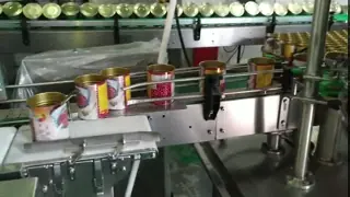 Industry High Sensitivity Metal Detector Checkweigher Machine For Food Industry