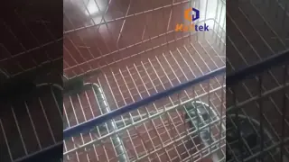 A Closer Look: 240L Supermarket Trolley Heavy Duty Customized