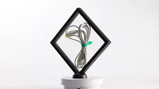 Watch: Compatible Northern Adult  Body cavity