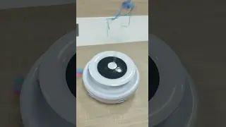 China OEM Interactive Cat Puppy Dog Pet Toys Puzzle For Brain Mental Stimulation for sale