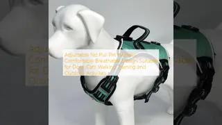 No Pull Dog Harness: Stop Pulling Walks