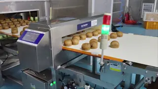 Food Metal Detector
