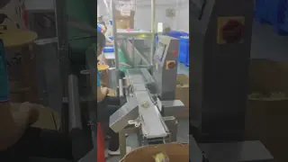 High Accuracy Dynamic Conveyor Weight Checker /  Conveyor Belt Scales