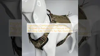 Dog Training Collar Gentle Effective Obedience