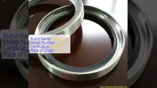 Low Friction Industrial Seal Stainless Steel 304 316