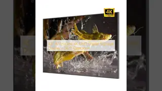 55 Inch 4K Digital Signage Sunlight Readable