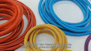 FKM O Rings Custom Sizes Corrosion Resistance