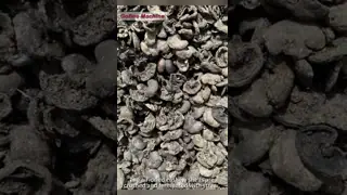 flat die pellet making machine