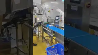 Checkweigher Scale with Automated Sorting System for Quality Products