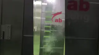 Large walk-in cage washer