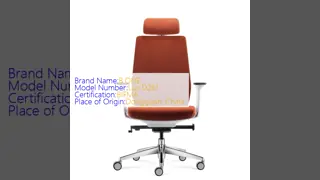 Ergonomic Mesh Chair Lumbar Support Adjustment