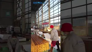 outdoor external exterior WPC wall panels boards