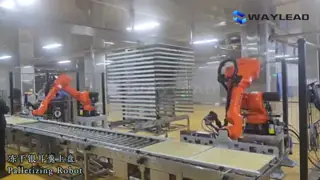 Automatic Plate Placing Robot Freeze Dryer Packaging machine