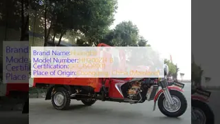 China Gasoline 200CC Cargo Tricycle Chinese 3 Wheeler With Double Railings / Side Seats for sale