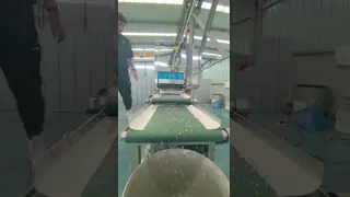 Food X Ray Machine