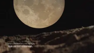 China Elegant Maple Wood Grain Decoration Paper for MDF and HPL for sale